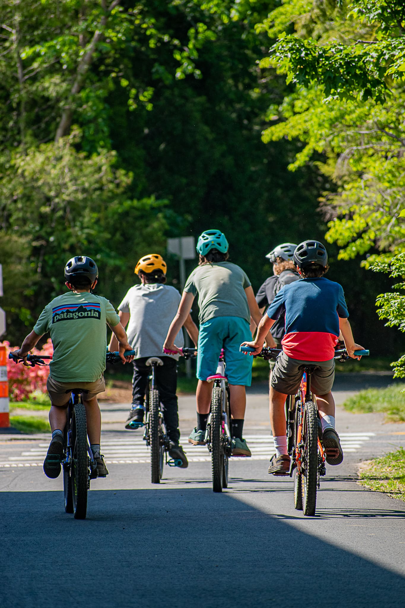 5 Outdoor Activities in Lexington